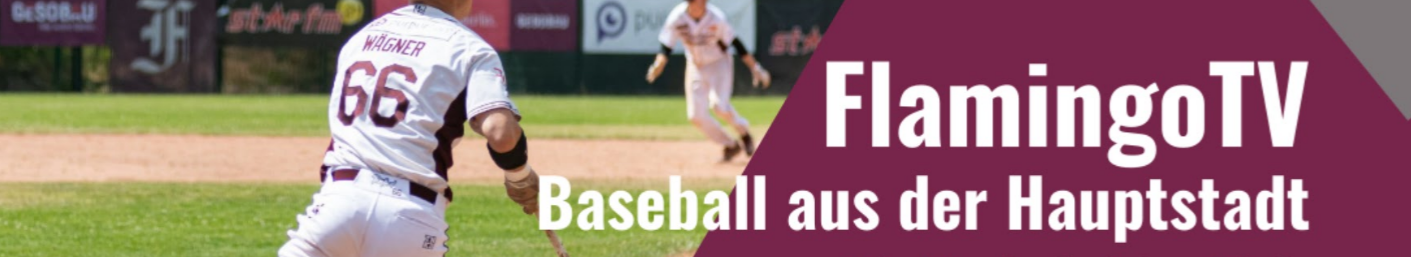 Flamingo TV – Berlin Flamingos