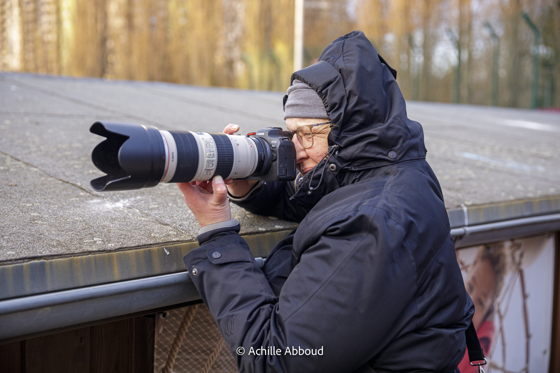 Fotonachweis – Berlin Flamingos